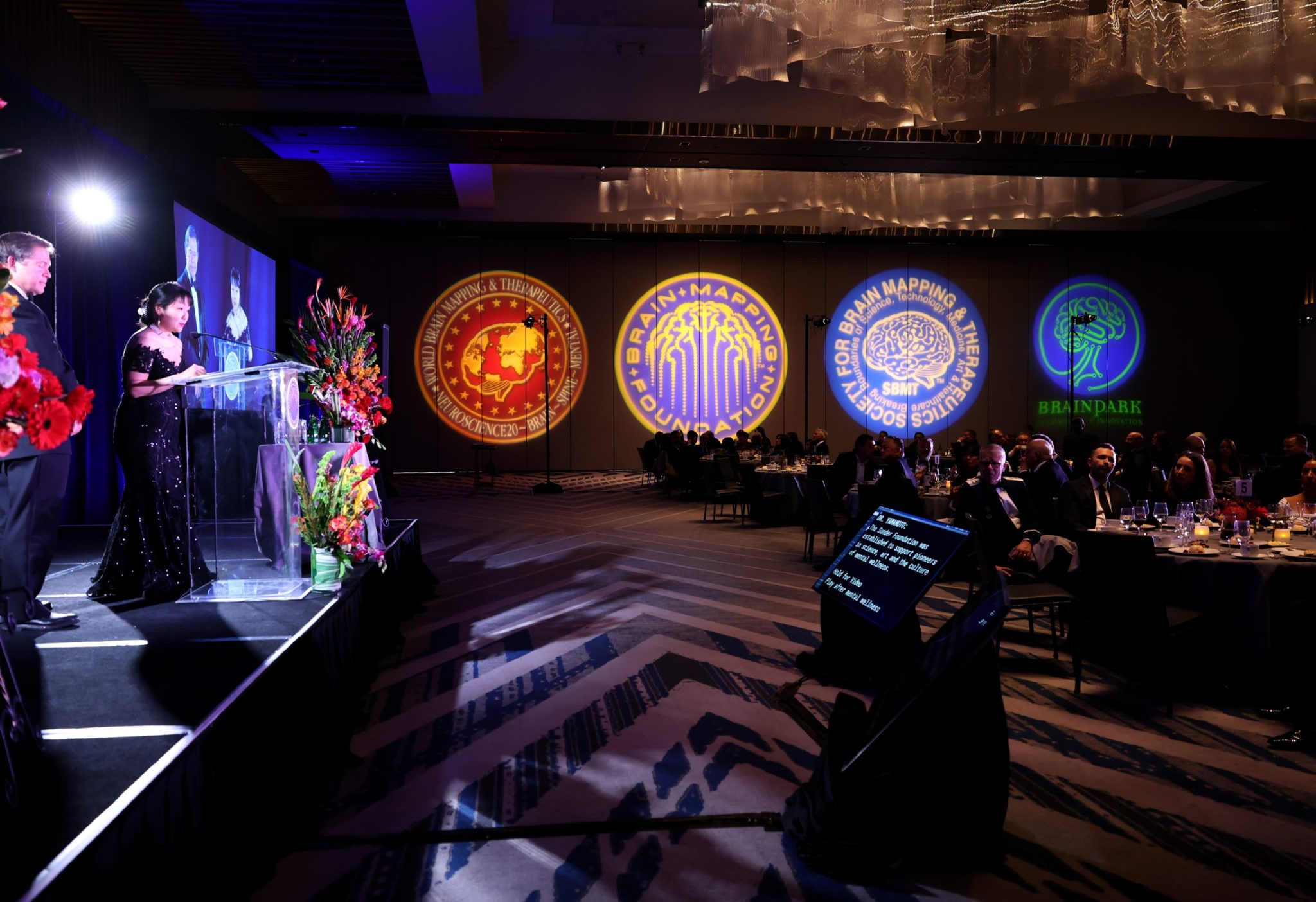 world brain mapping foundation